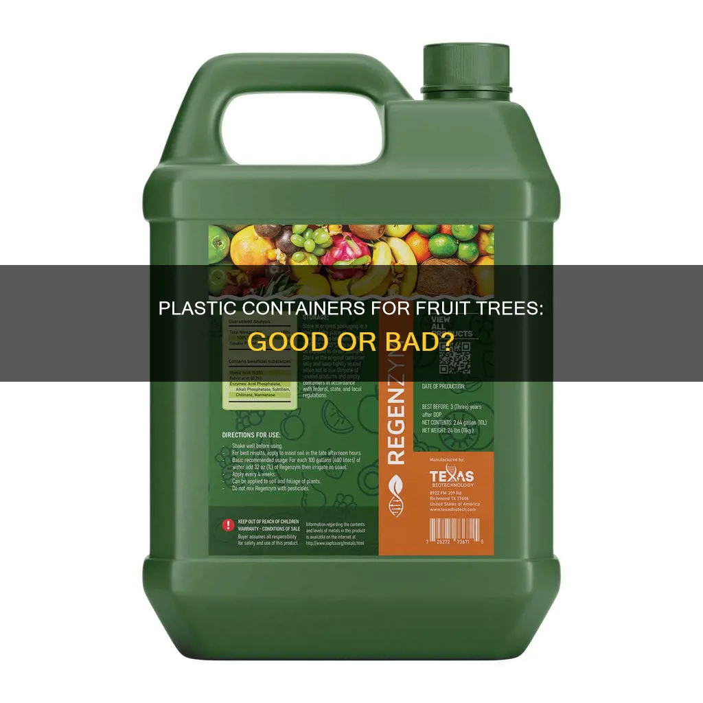 Plastic Containers For Fruit Trees: Good Or Bad? | ShunPoly
