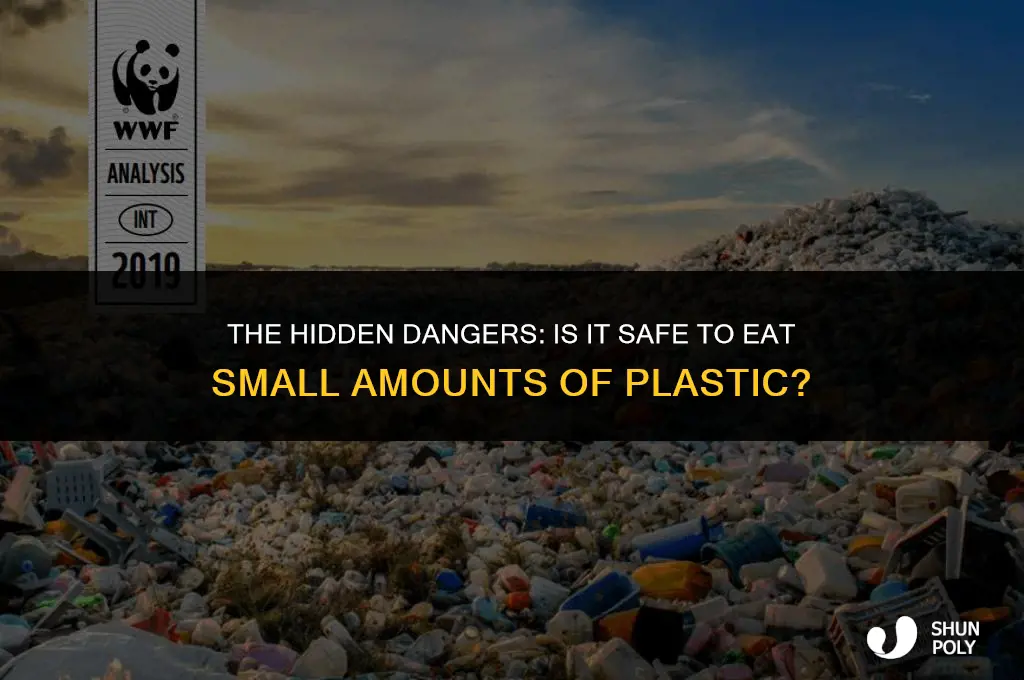 The Hidden Dangers: Is It Safe To Eat Small Amounts Of Plastic? | ShunPoly