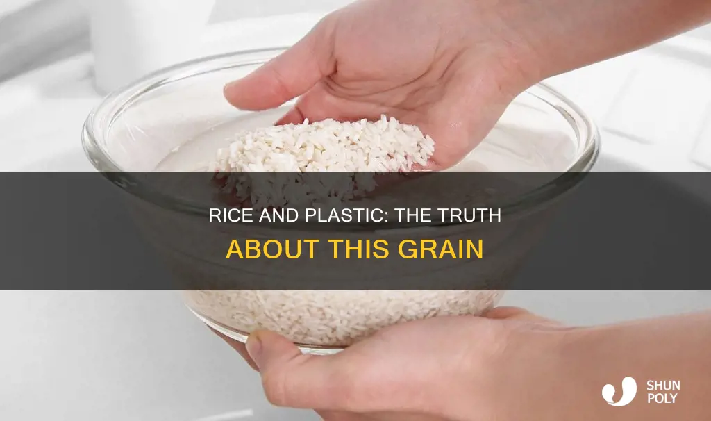 Rice And Plastic: The Truth About This Grain | ShunPoly