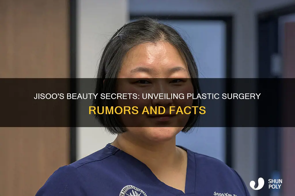 Jisoo's Beauty Secrets: Unveiling Plastic Surgery Rumors And Facts ...