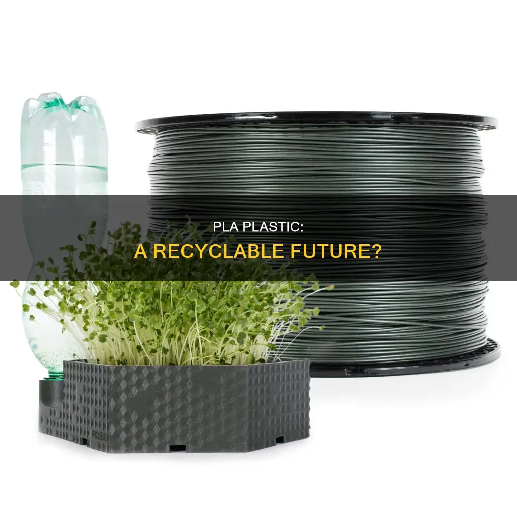 Pla Plastic: A Recyclable Future? | ShunPoly