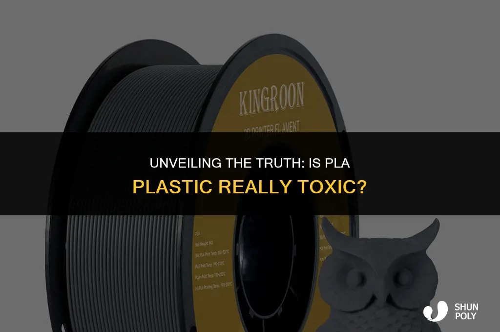 Unveiling The Truth: Is Pla Plastic Really Toxic? | ShunPoly