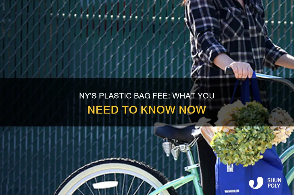 Ny's Plastic Bag Fee: What You Need To Know Now | ShunPoly