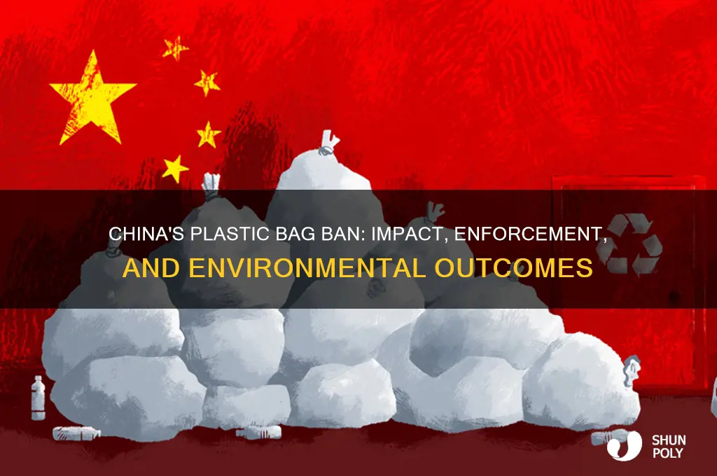 China's Plastic Bag Ban: Impact, Enforcement, And Environmental ...