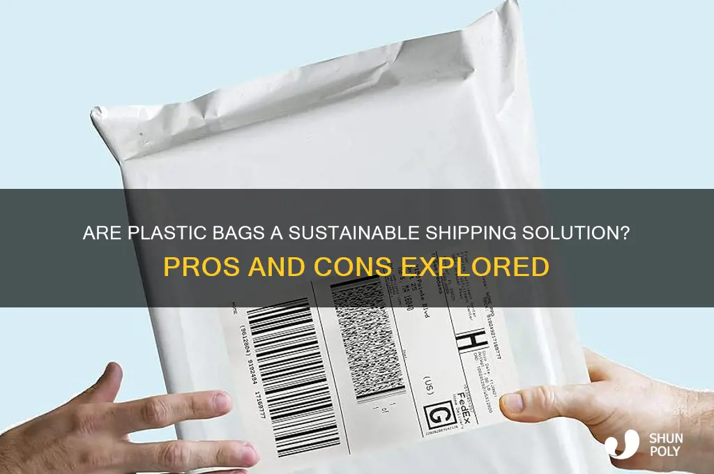 Are Plastic Bags A Sustainable Shipping Solution? Pros And Cons ...