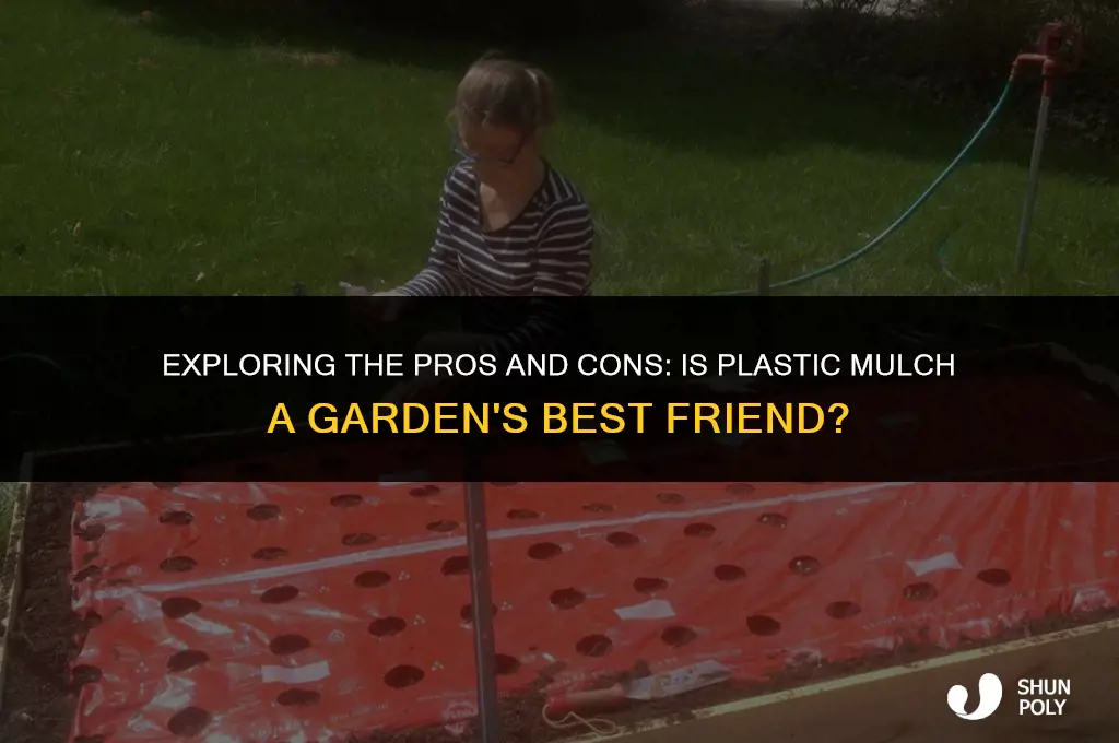 Exploring The Pros And Cons: Is Plastic Mulch A Garden's Best Friend ...
