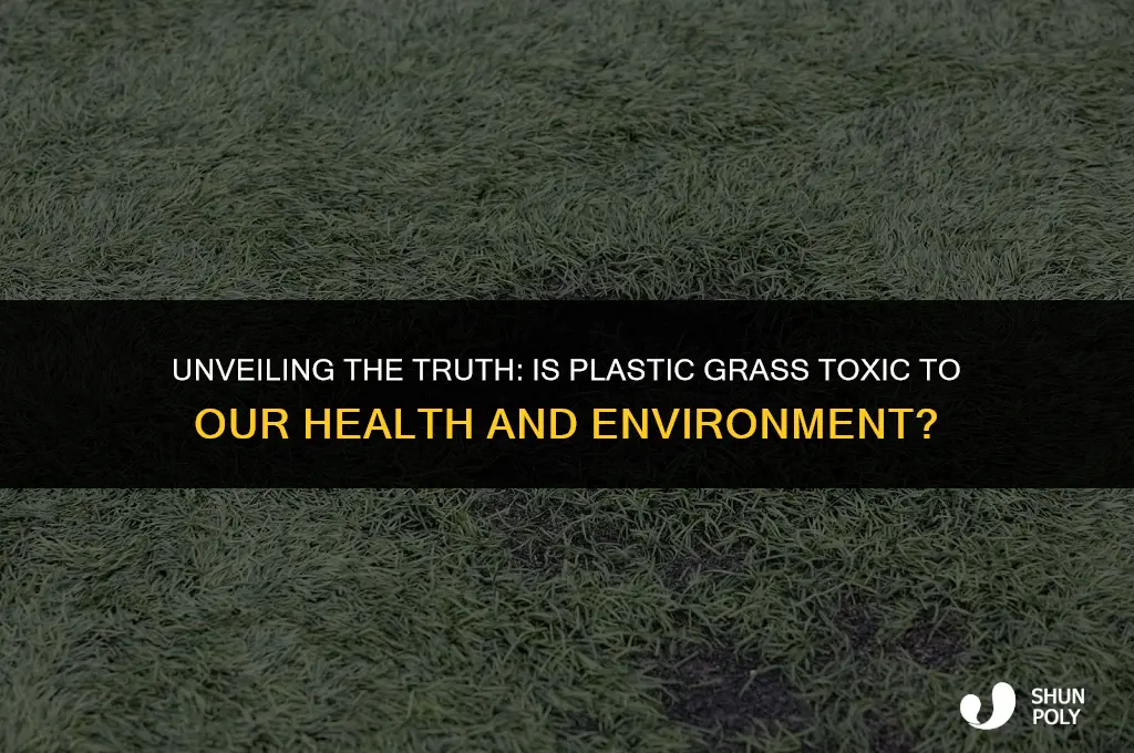 Unveiling The Truth: Is Plastic Grass Toxic To Our Health And ...