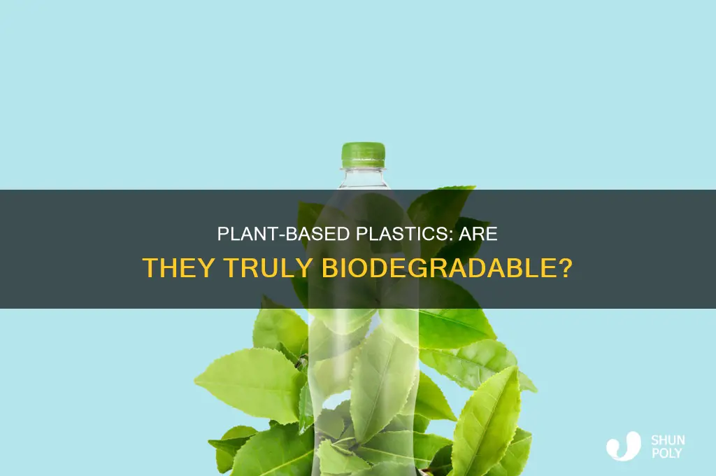 Plant-Based Plastics: Are They Truly Biodegradable? | ShunPoly