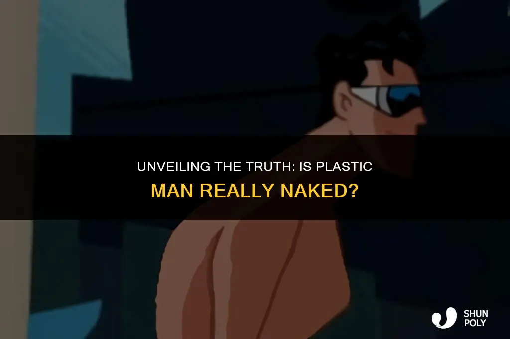 Unveiling The Truth: Is Plastic Man Really Naked? | ShunPoly