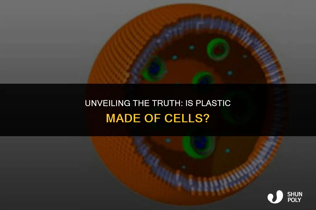 Unveiling The Truth: Is Plastic Made Of Cells? | ShunPoly