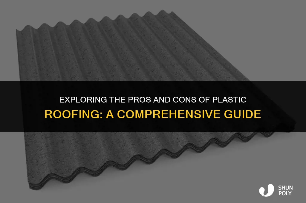 Exploring The Pros And Cons Of Plastic Roofing: A Comprehensive Guide ...