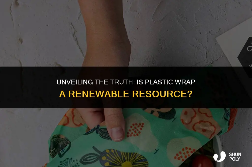 Unveiling The Truth: Is Plastic Wrap A Renewable Resource? | ShunPoly