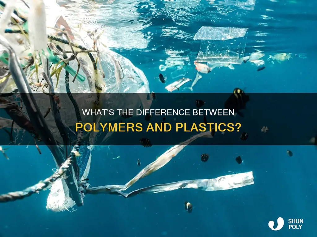 What's The Difference Between Polymers And Plastics? | ShunPoly