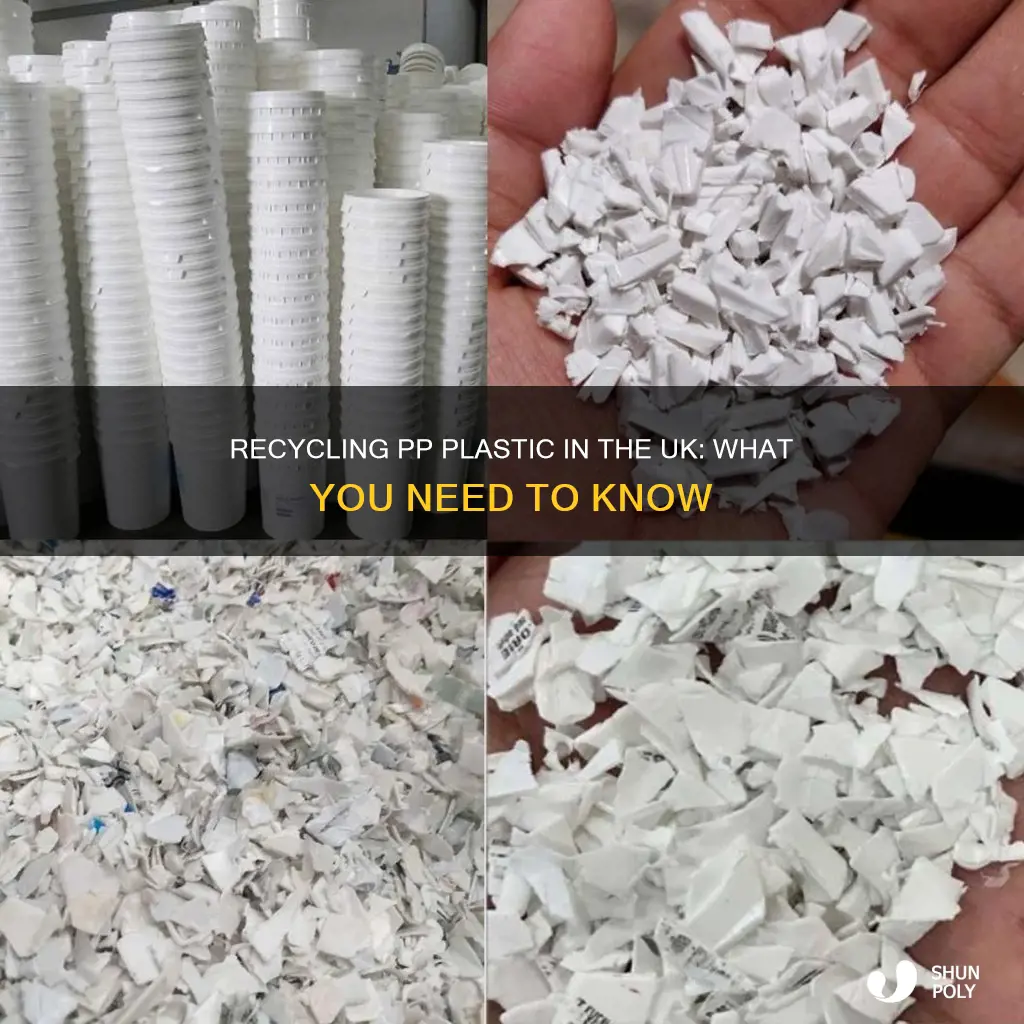 Recycling Pp Plastic In The Uk: What You Need To Know | ShunPoly