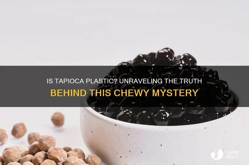 Is Tapioca Plastic? Unraveling The Truth Behind This Chewy Mystery ...