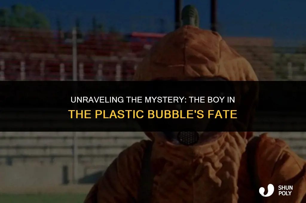 Unraveling The Mystery: The Boy In The Plastic Bubble's Fate | ShunPoly