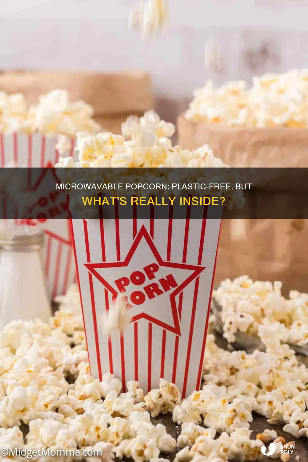 Microwavable Popcorn: Plastic-Free, But What's Really Inside? | ShunPoly