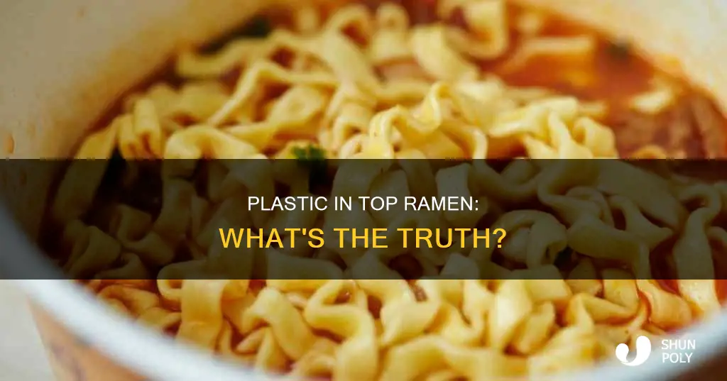 Plastic In Top Ramen: What's The Truth? | ShunPoly