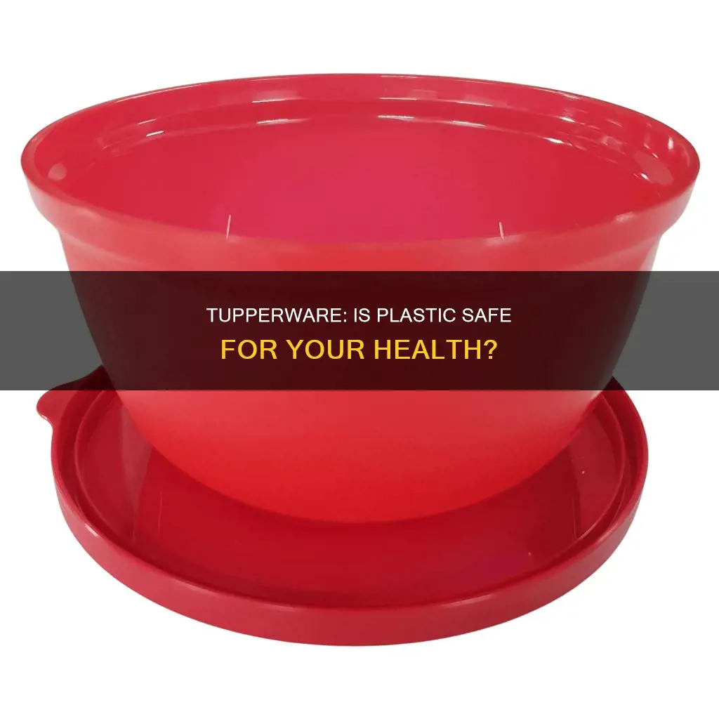Tupperware: Is Plastic Safe For Your Health? | ShunPoly