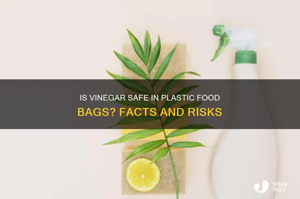 Is Vinegar Safe In Plastic Food Bags? Facts And Risks | ShunPoly