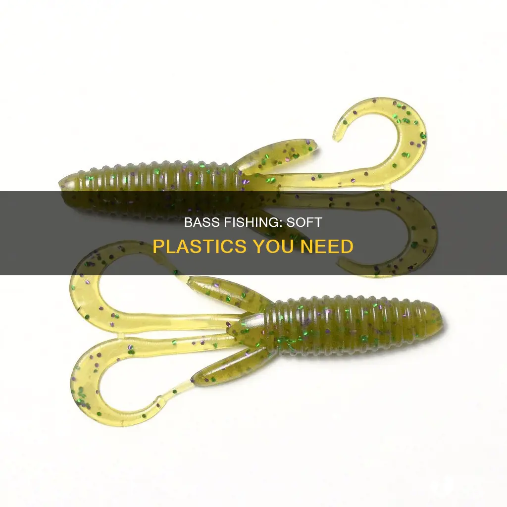 Bass Fishing: Soft Plastics You Need | ShunPoly
