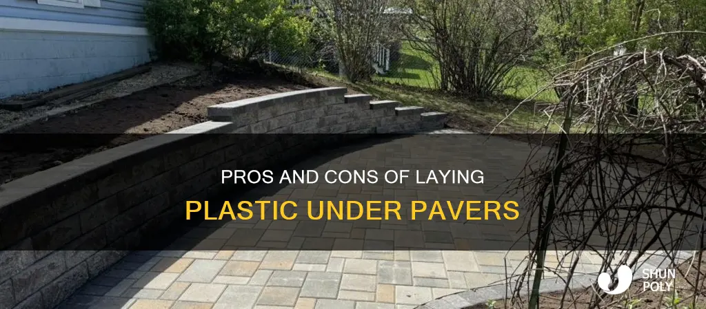 Pros And Cons Of Laying Plastic Under Pavers | ShunPoly