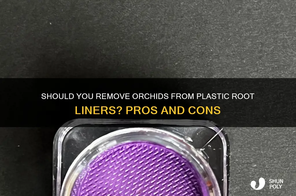 Should You Remove Orchids From Plastic Root Liners? Pros And Cons ...