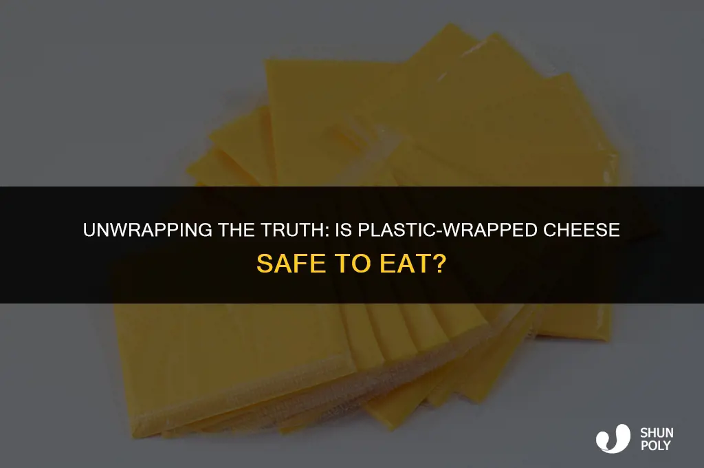 Unwrapping The Truth: Is Plastic-Wrapped Cheese Safe To Eat? | ShunPoly