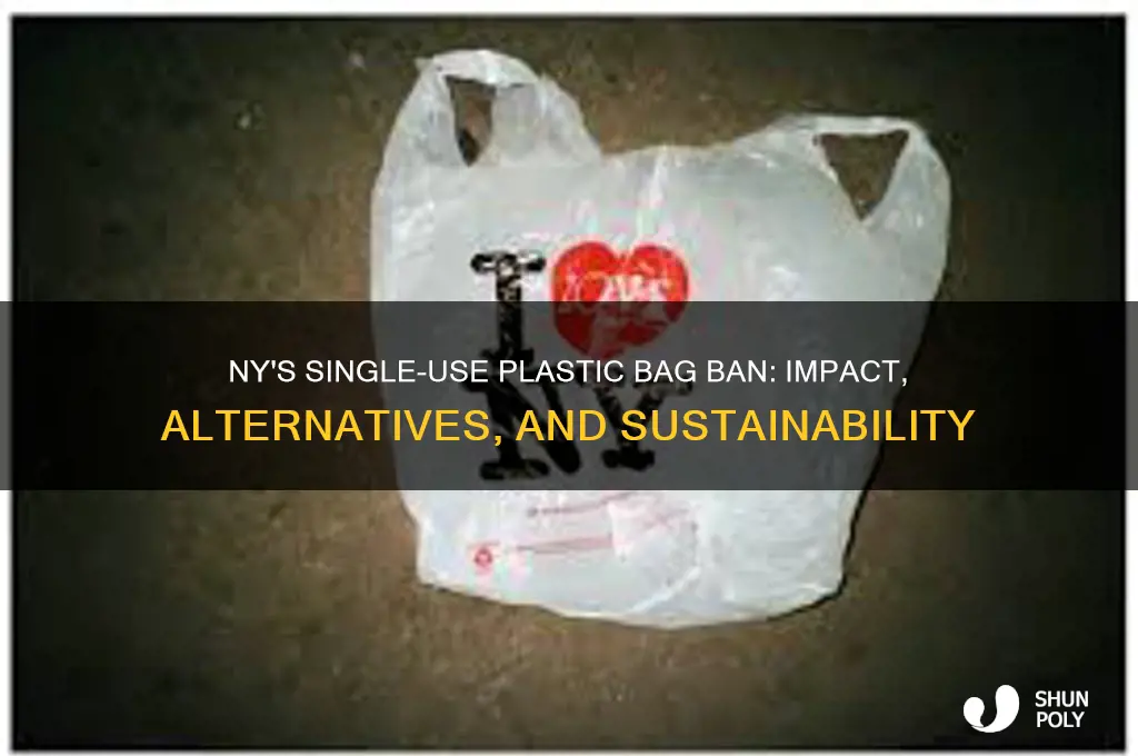 Ny's Single-Use Plastic Bag Ban: Impact, Alternatives, And ...