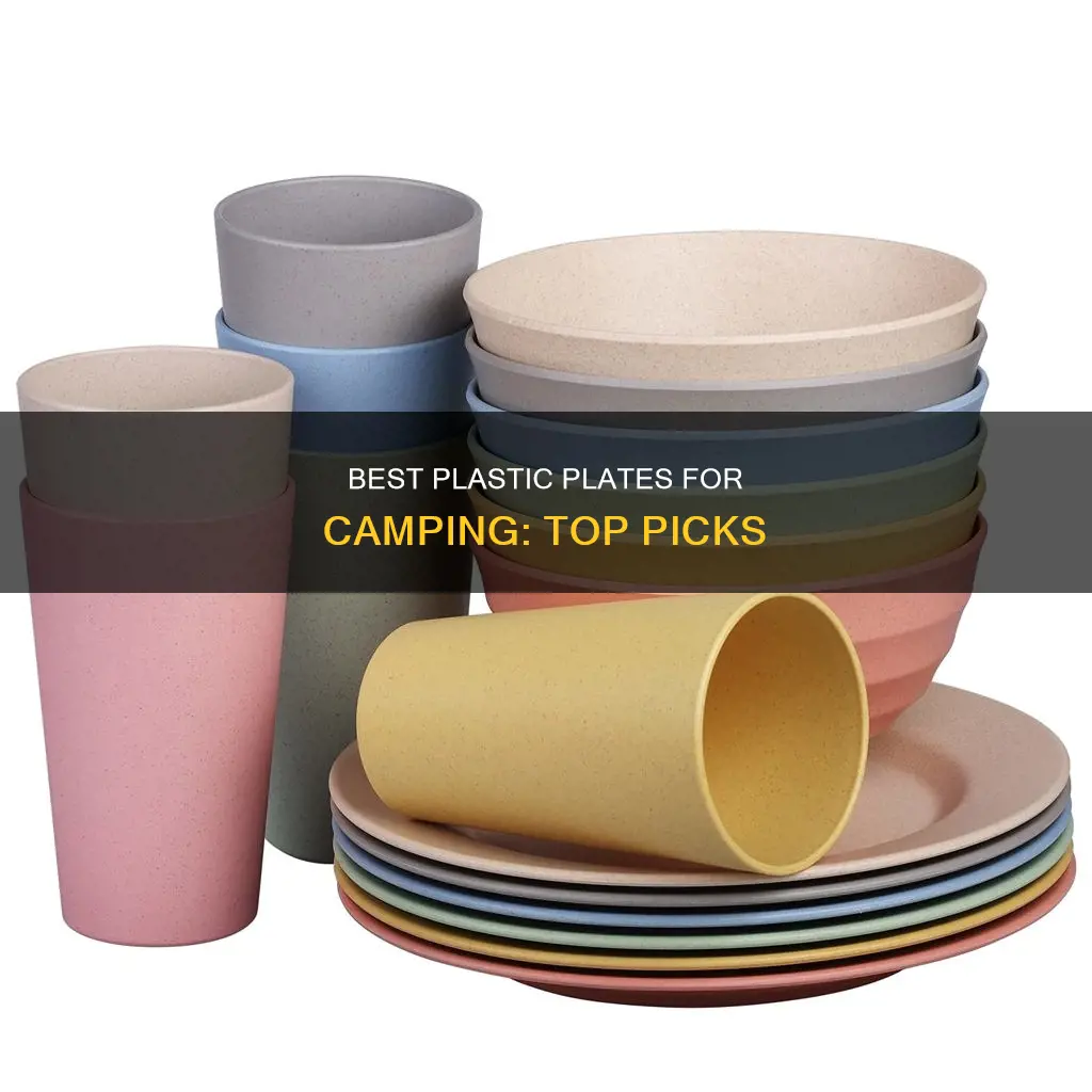 Best Plastic Plates For Camping: Top Picks | ShunPoly