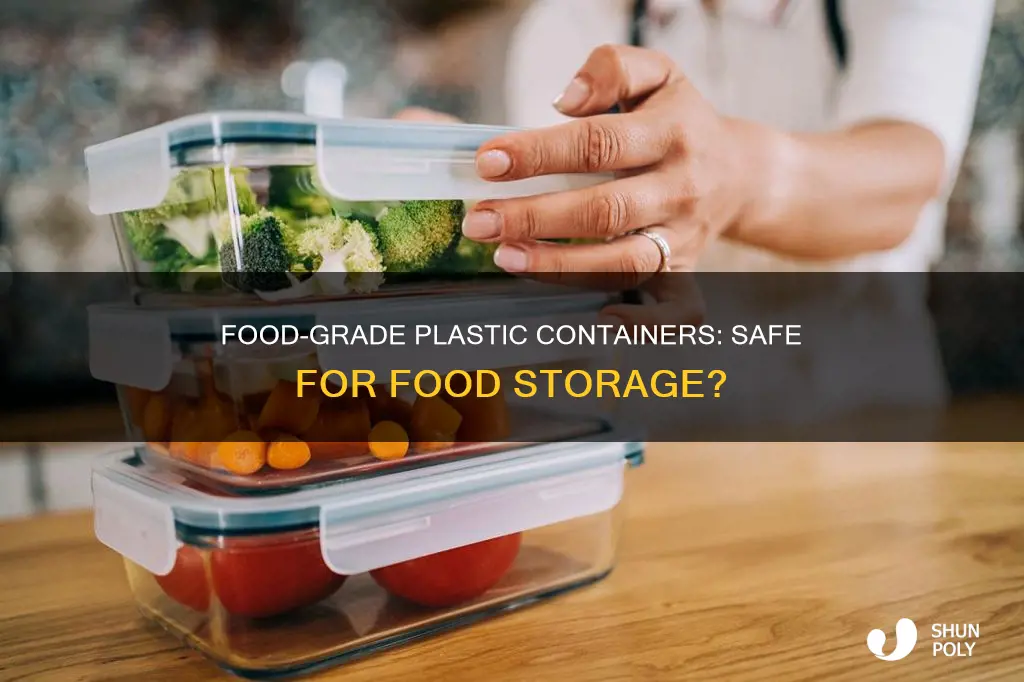 Food-Grade Plastic Containers: Safe For Food Storage? | ShunPoly