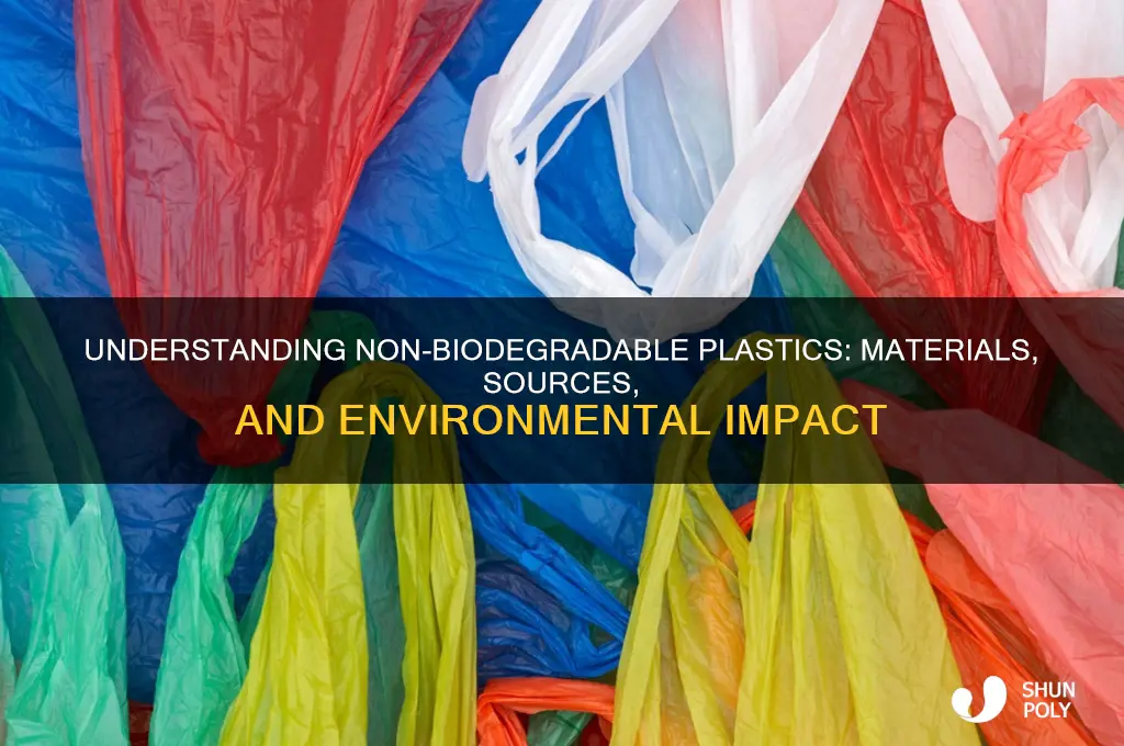 Understanding Non-Biodegradable Plastics: Materials, Sources, And ...