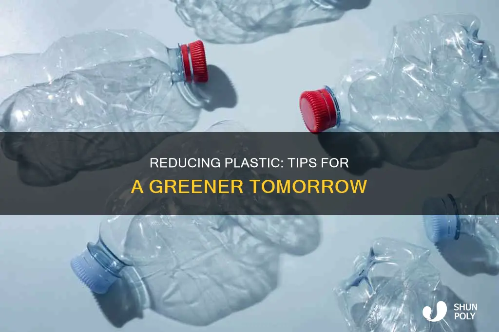 Reducing Plastic: Tips For A Greener Tomorrow | ShunPoly