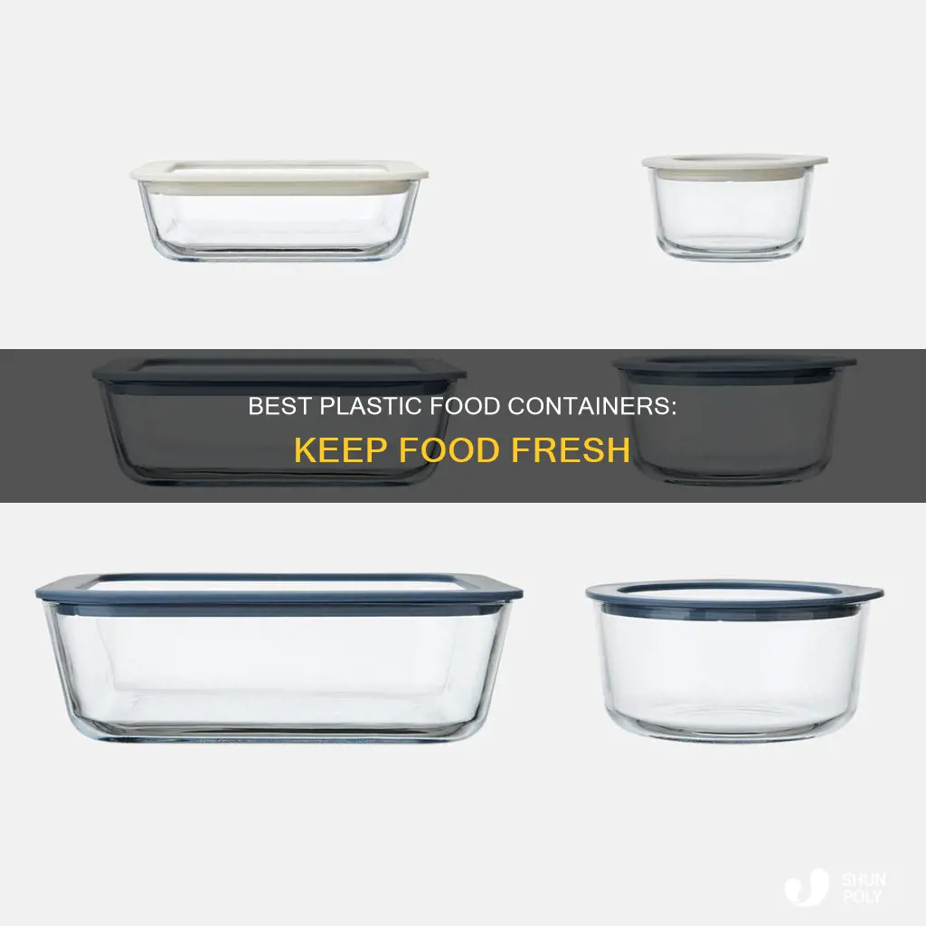 Best Plastic Food Containers: Keep Food Fresh | ShunPoly