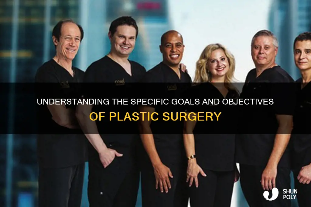 Understanding The Specific Goals And Objectives Of Plastic Surgery ...
