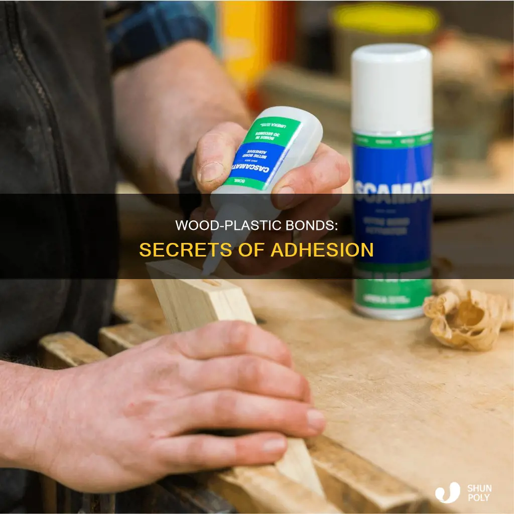 Wood-Plastic Bonds: Secrets Of Adhesion | ShunPoly