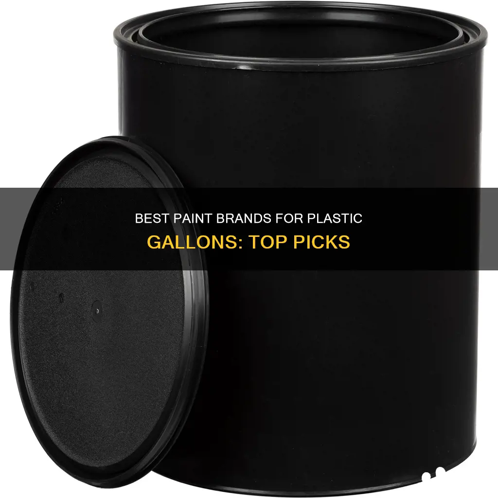 Best Paint Brands For Plastic Gallons: Top Picks | ShunPoly