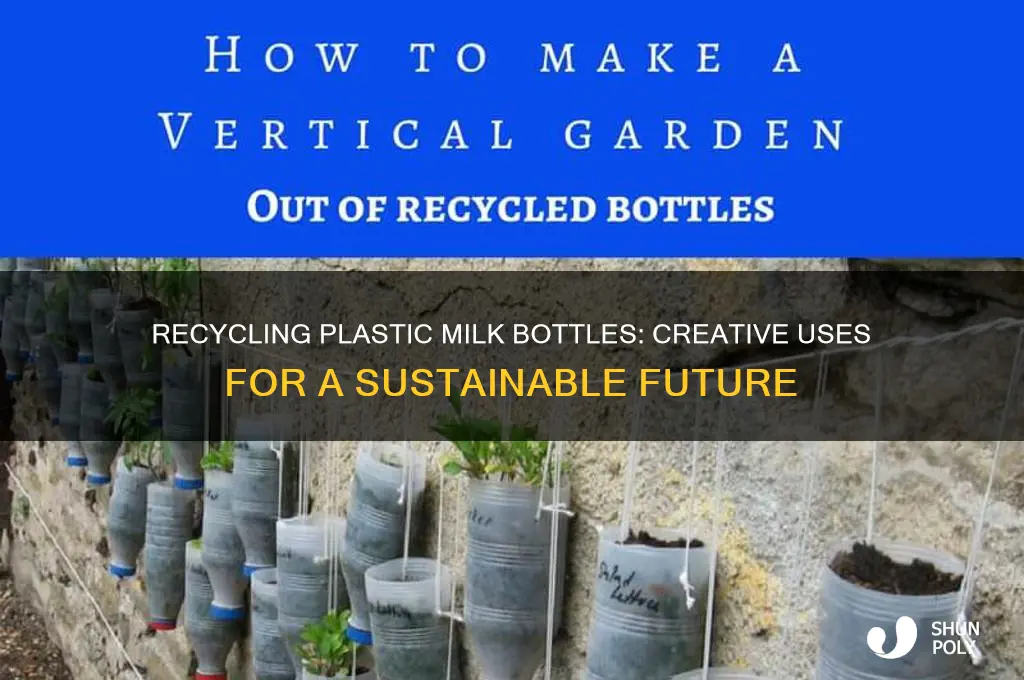 Recycling Plastic Milk Bottles: Creative Uses For A Sustainable Future ...