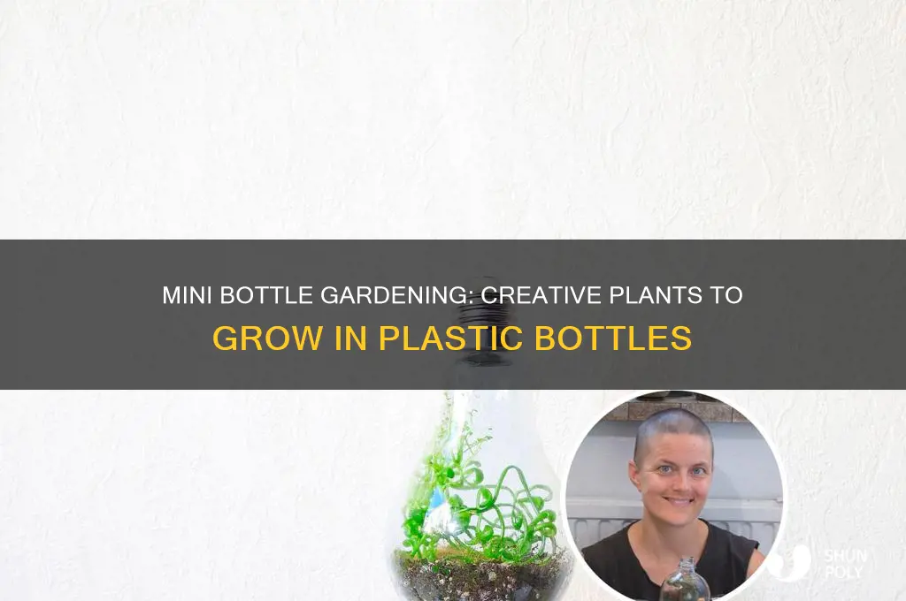 Mini Bottle Gardening: Creative Plants To Grow In Plastic Bottles ...