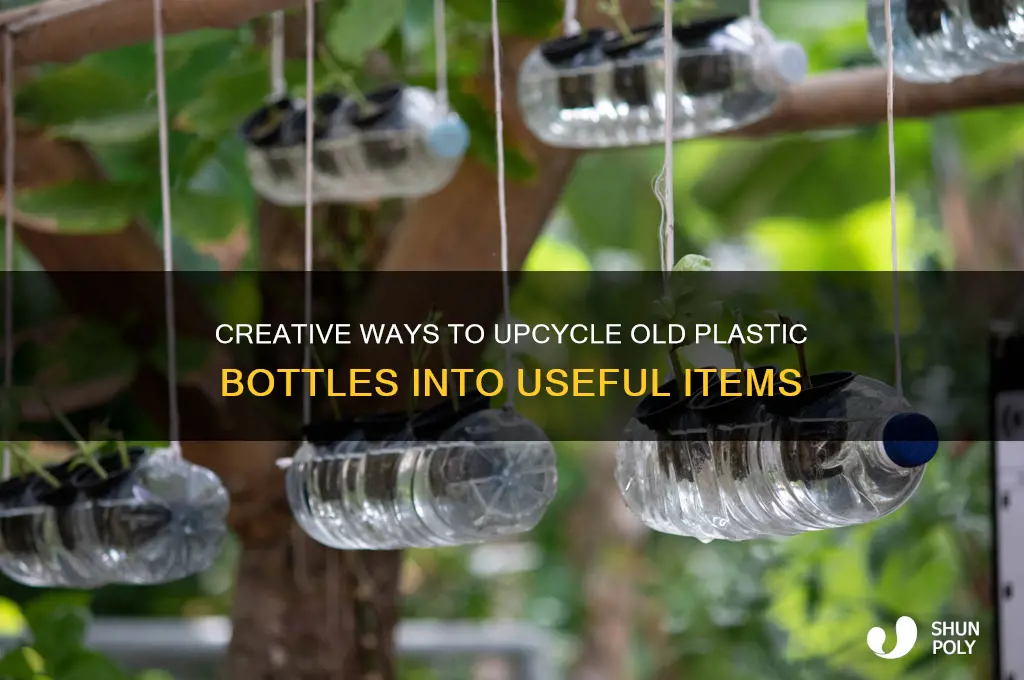 Creative Ways To Upcycle Old Plastic Bottles Into Useful Items | ShunPoly