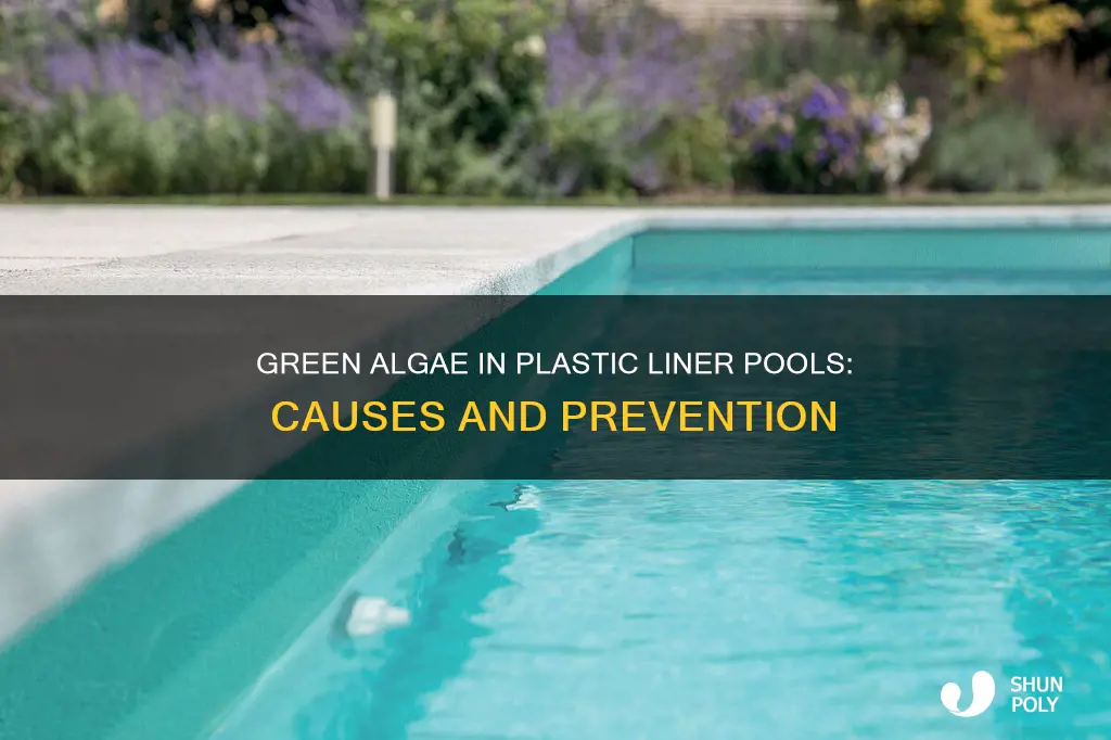 Green Algae In Plastic Liner Pools: Causes And Prevention | ShunPoly