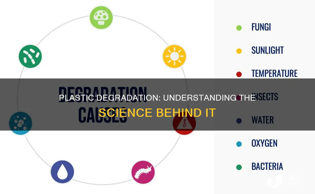 Plastic Degradation: Understanding The Science Behind It | ShunPoly