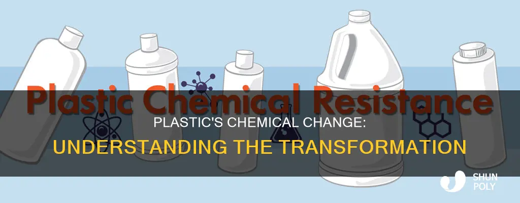Plastic's Chemical Change: Understanding The Transformation | ShunPoly