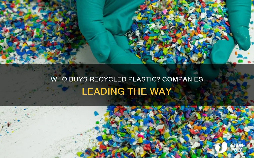 Who Buys Recycled Plastic? Companies Leading The Way | ShunPoly