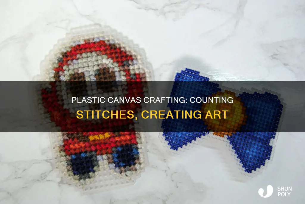Plastic Canvas Crafting: Counting Stitches, Creating Art | ShunPoly