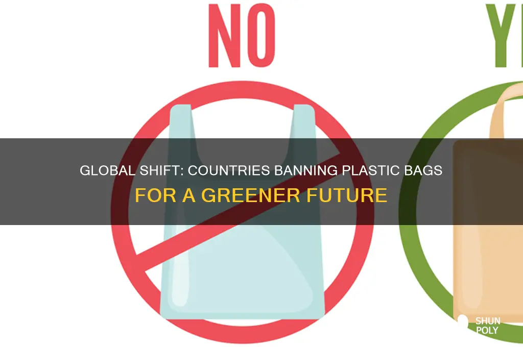 Global Shift: Countries Banning Plastic Bags For A Greener Future ...