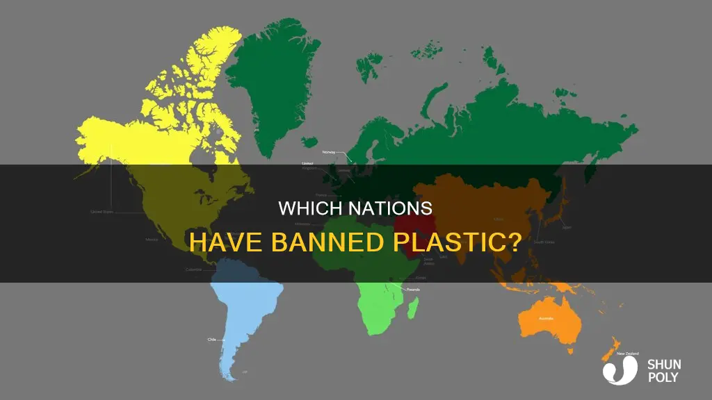 Which Nations Have Banned Plastic? | ShunPoly