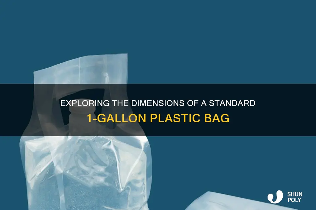 Exploring The Dimensions Of A Standard 1-Gallon Plastic Bag | ShunPoly