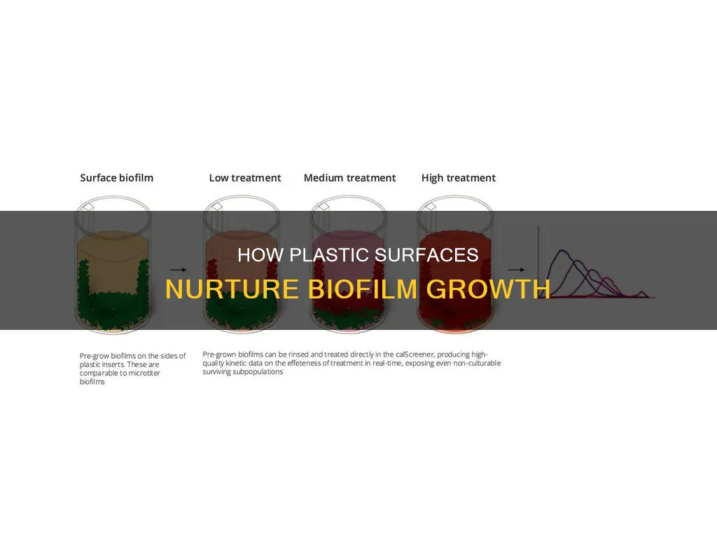 How Plastic Surfaces Nurture Biofilm Growth | ShunPoly