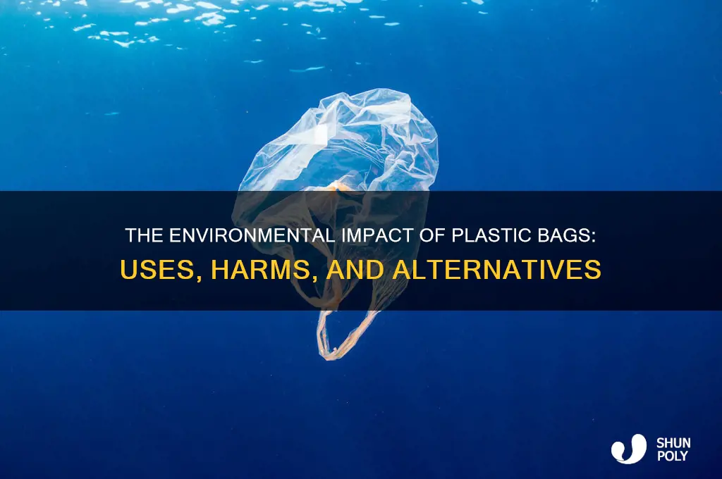 The Environmental Impact Of Plastic Bags: Uses, Harms, And Alternatives ...